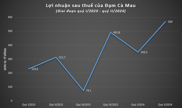 Đạm Cà Mau (DCM): Lãi ròng quý II/2024 tăng gần gấp đôi so với cùng kỳ, có hơn 10.000 tỷ đồng ...